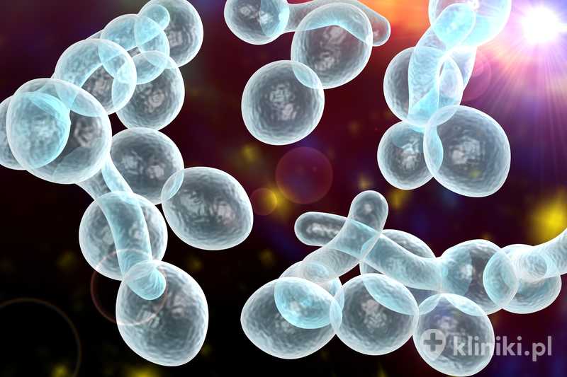 Jak objawia się kandydoza, z czego wynika i jak leczyć to zakażenie ...