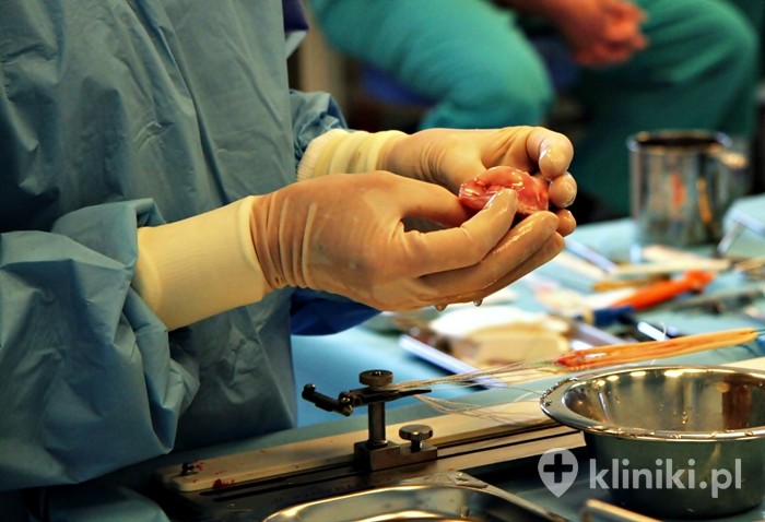 Scanmed Sport, Żory - opinie i cennik 2025 | Kliniki.pl